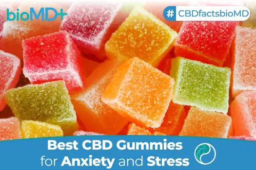 Easy Cbd Gummy Recipe