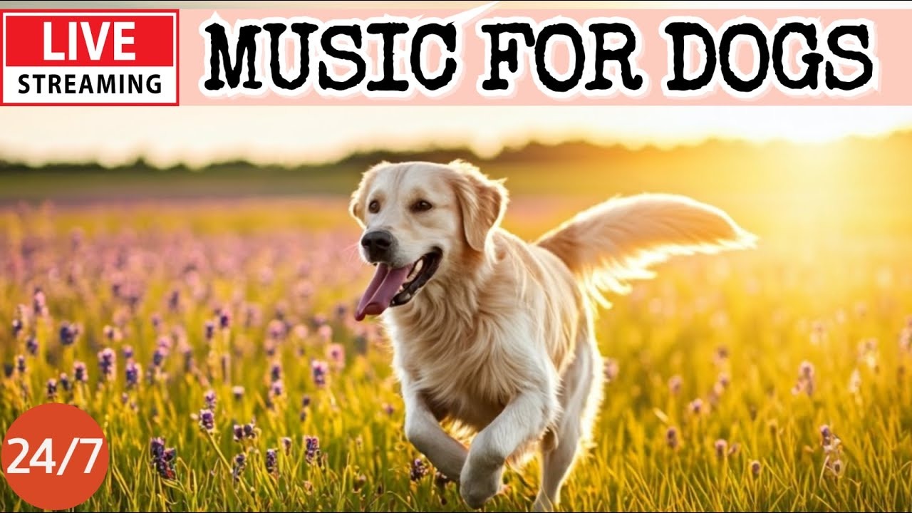 Green Cbd Gummies Contact Number ：are Wyld Cbd Gummies Safe