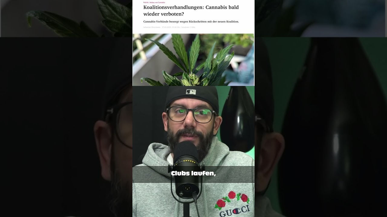 Best Cbd Gummies Available On Amazon