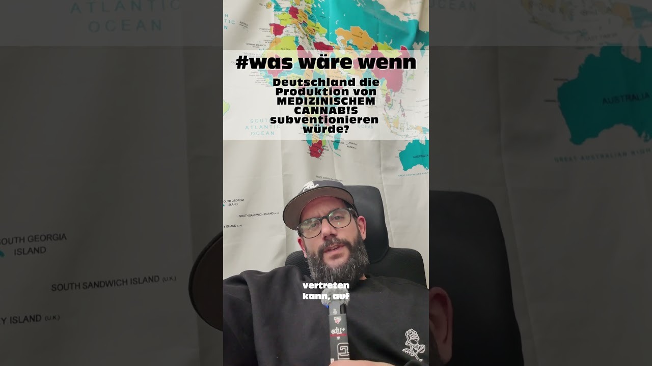 Cbd Gummies 1000mg Premium Jane Cbd Gummies Amazon