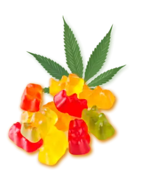 Cbd Gummies With No Thc Cbd Flower Gummies