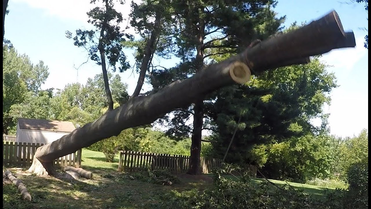 The Best 8 Natural Way To Increase Penice Size