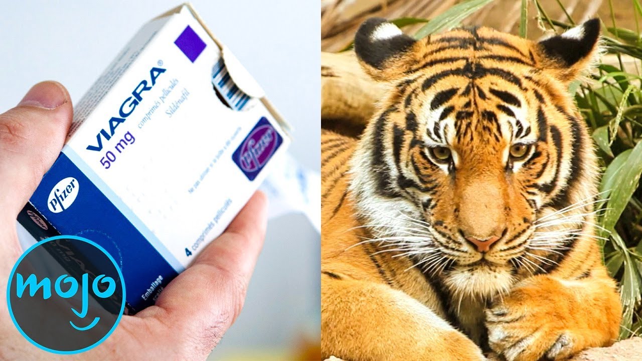 Ropex Male Enhancement Pills ：erectile Dysfunction Exercises Pdf