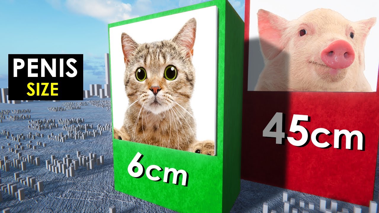 The Best 8 Extenze Original Formula Male Sexual Enhancement Tablets 6911