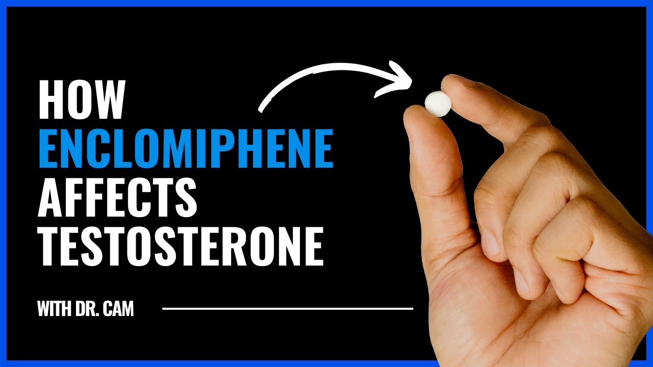 Bluechew Vs Roman What Is The Most Effective Male Sex Enhancement Pill